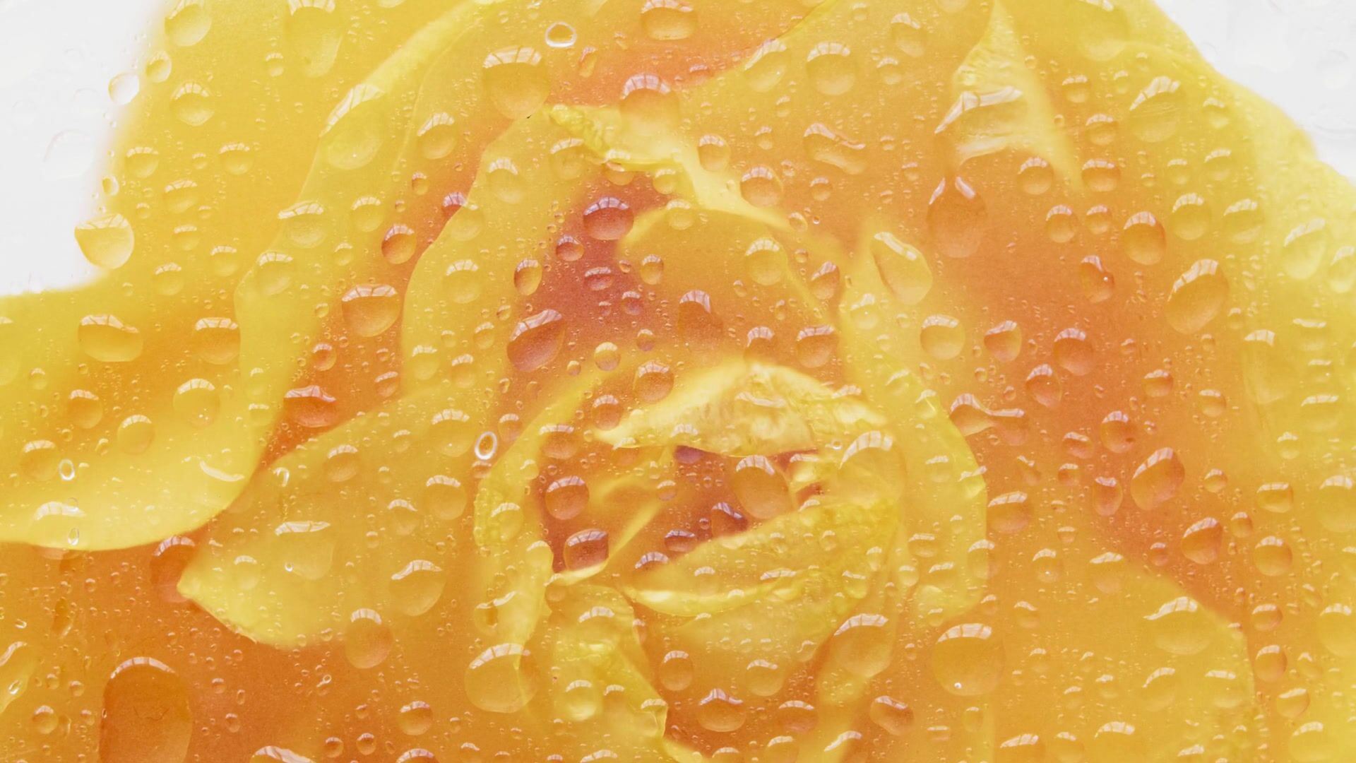 Juicy-Joyce的性爱视频&录播节目 | Stripchat