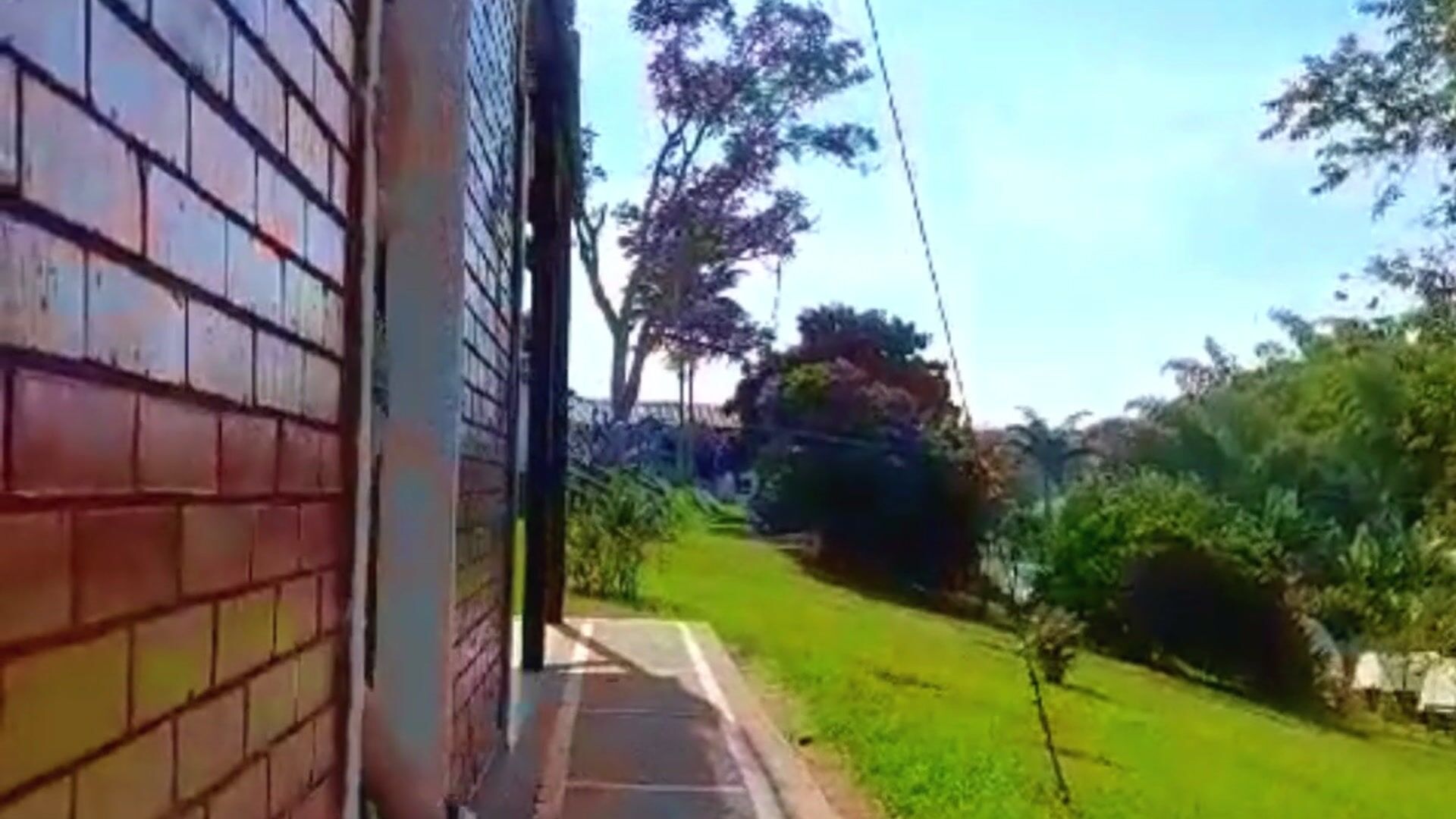 Libidinosi's XXX Videos & Recorded Live Shows | xHamsterLive